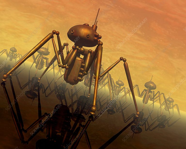 Home - Bob Murphy Show